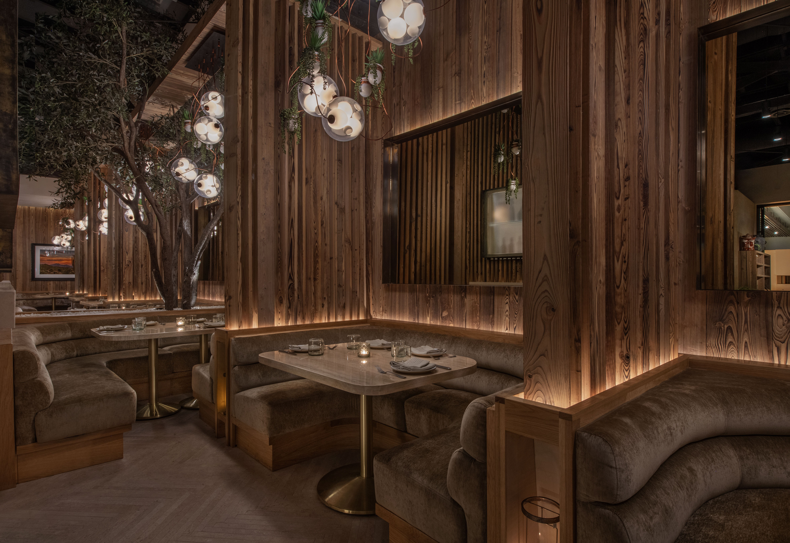 Discover MXO: Wes Avila's Modern Mexican Steakhouse Magic
