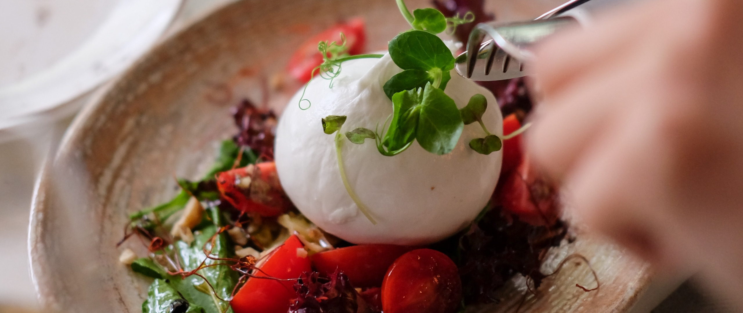 Discover NYC's Best Burrata Dishes