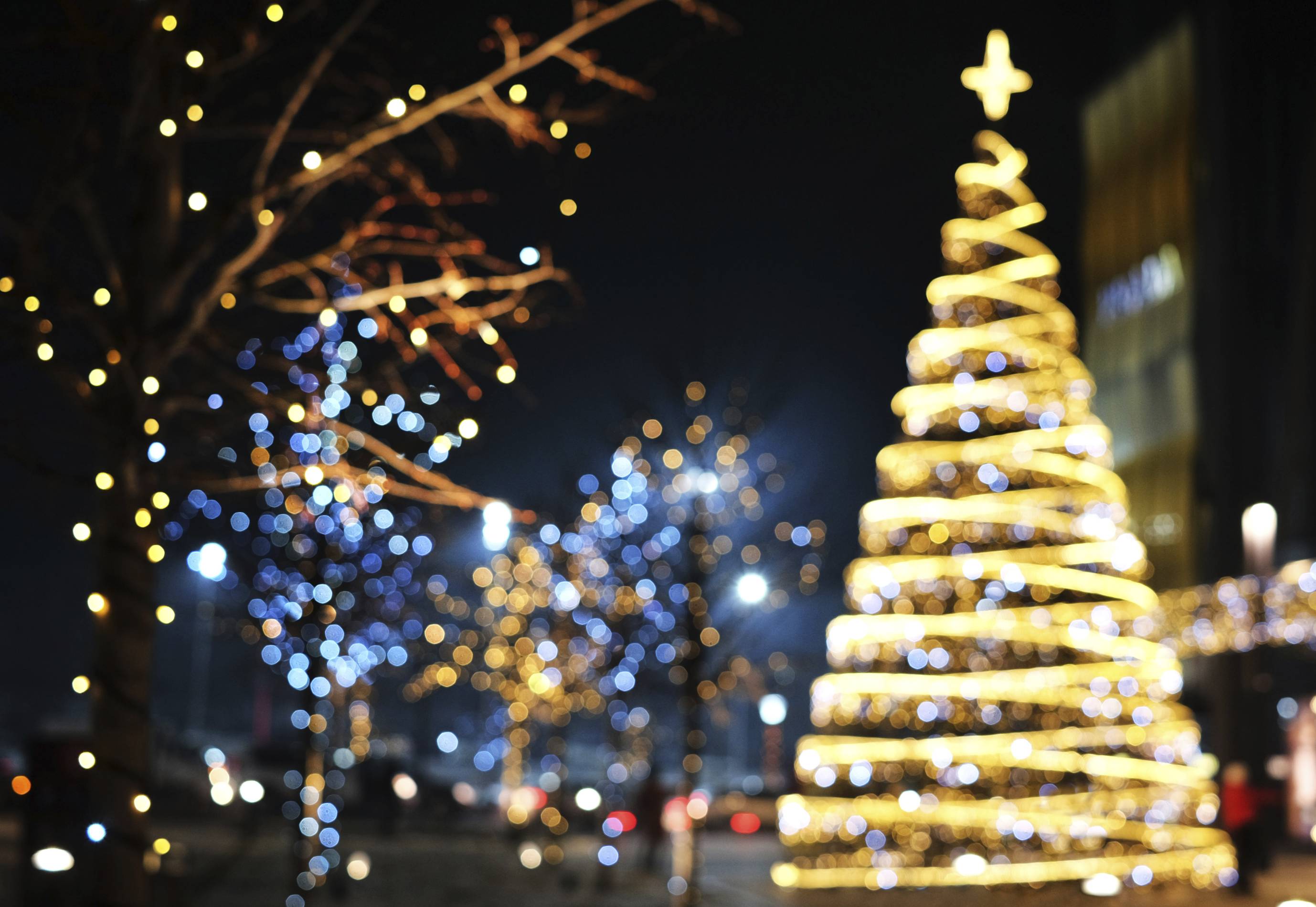 Celebrate the Holidays in O'ahu: Events & Activities
