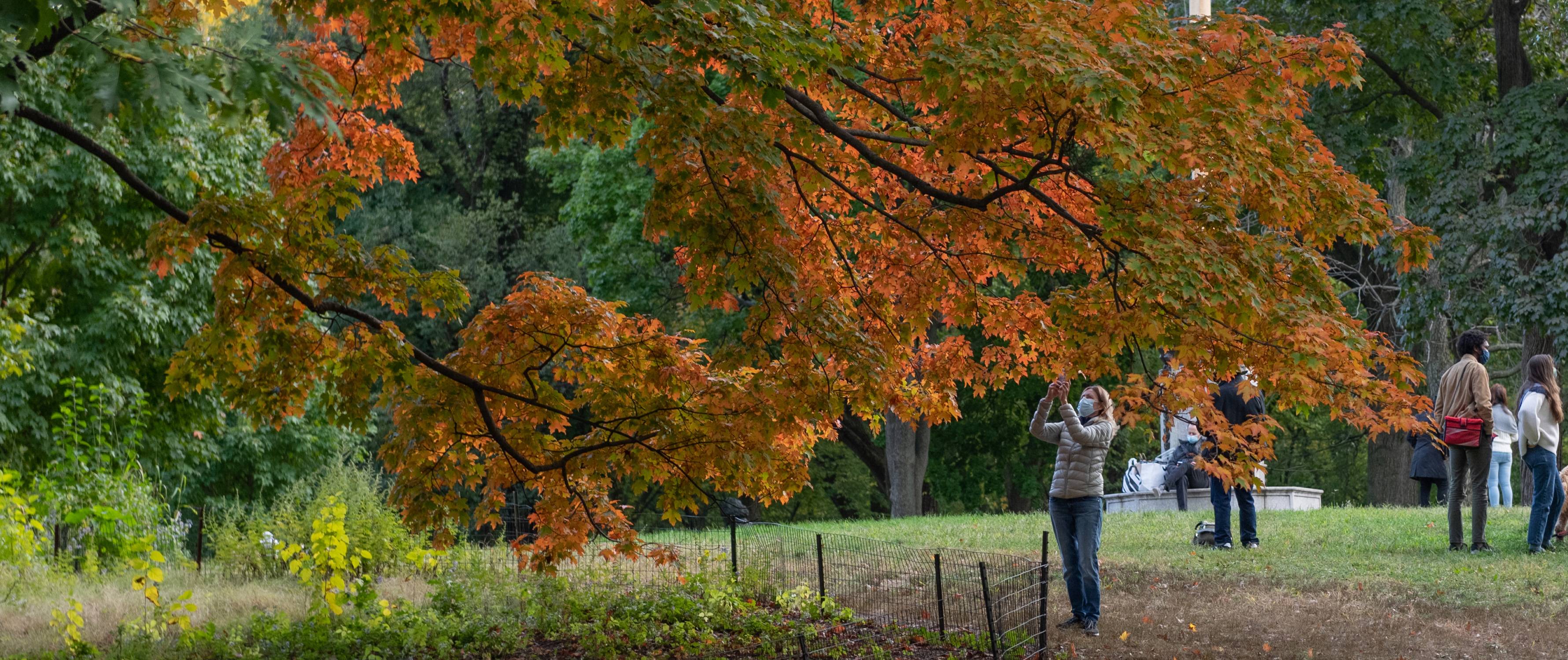 Top 5 Instagrammable Fall Spots in NYC