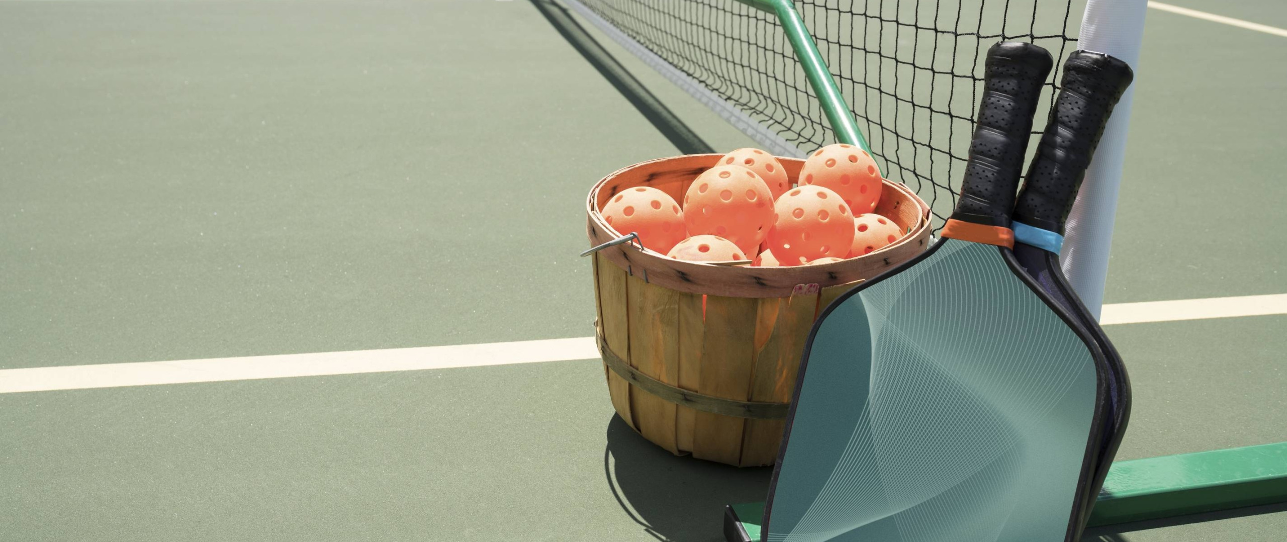 Discover the Best Pickleball Courts in Silicon Valley