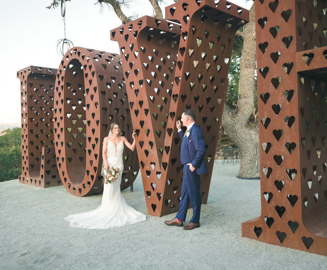 Laurel and Angelo's Elegant Wedding at Willow Heights Mansion