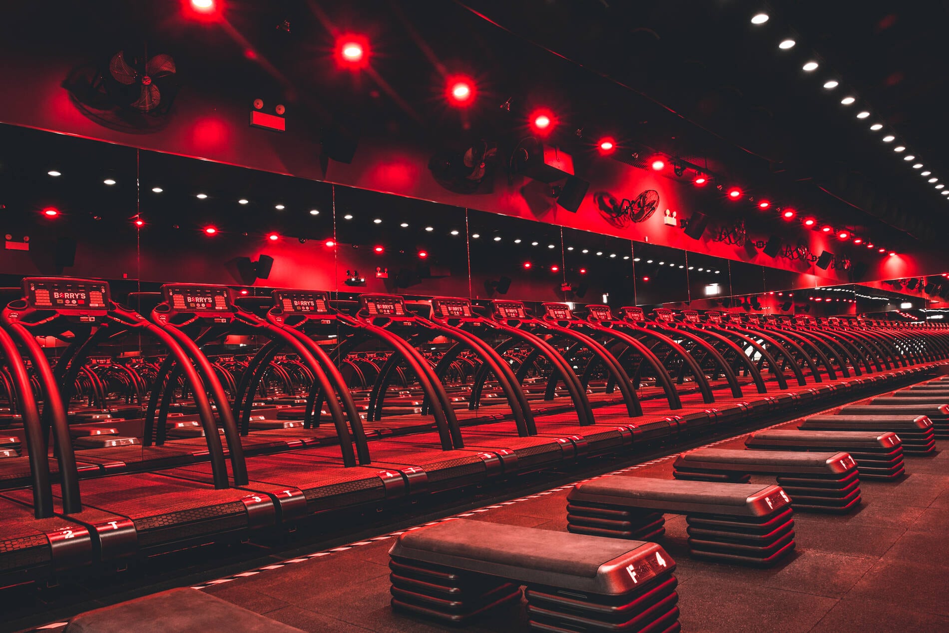 Top 12 Gyms in Los Angeles for Ultimate Fitness Experience