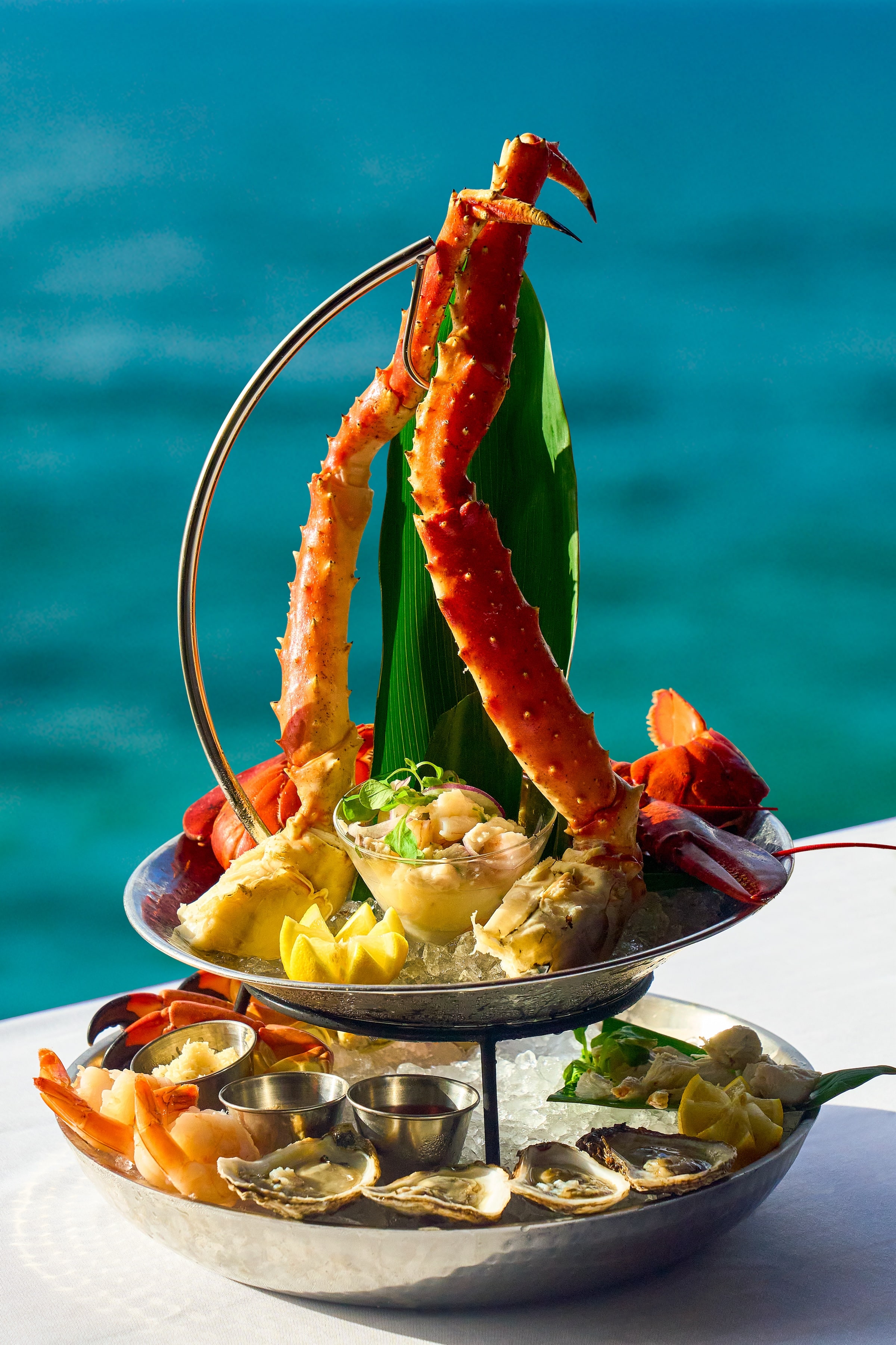 Catch Cut: Fort Lauderdale's New Seafood and Steak Haven