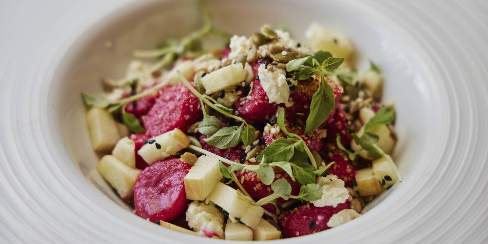 Valentine's Day Romance in Boston: Top Dining & Spa Tips