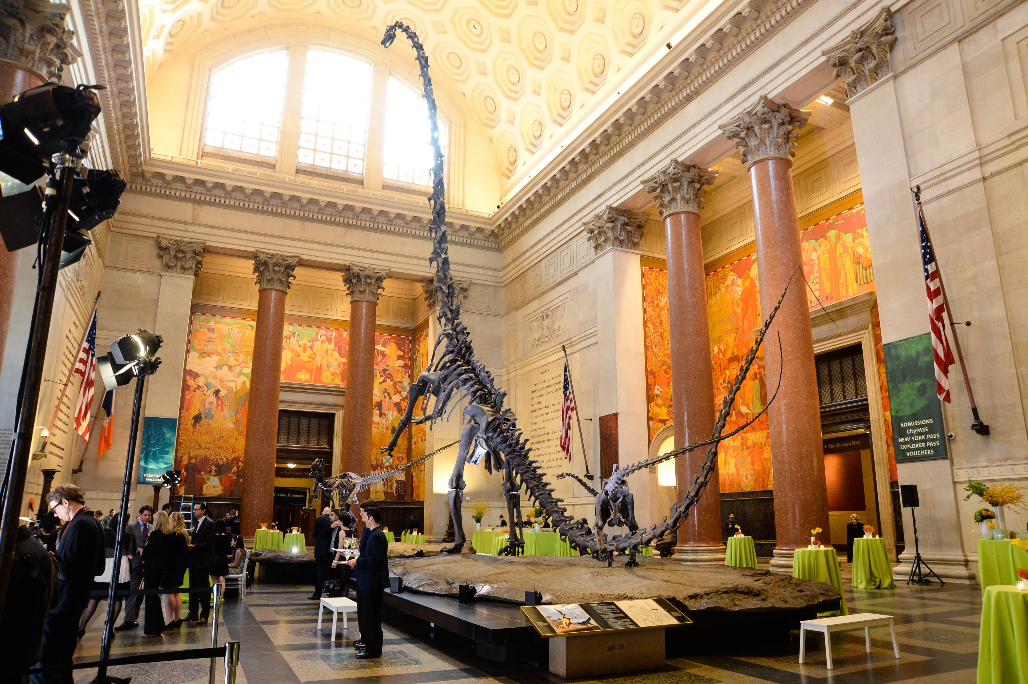 Top 7 Science Museums to Explore in NYC