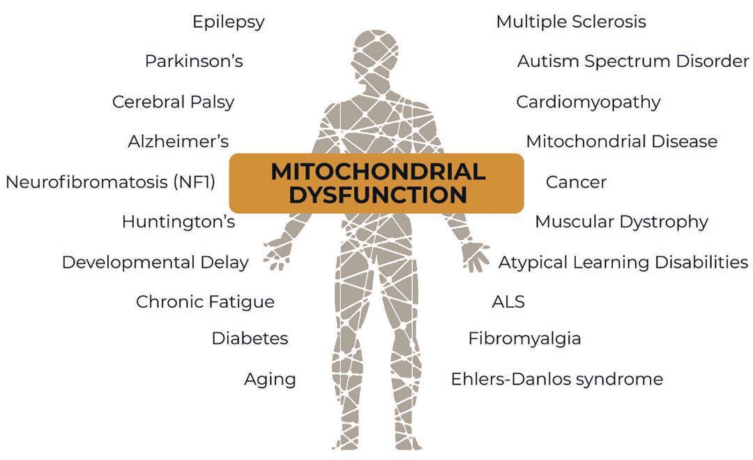 Mitzi Solomon's Journey for Mitochondrial Medicine