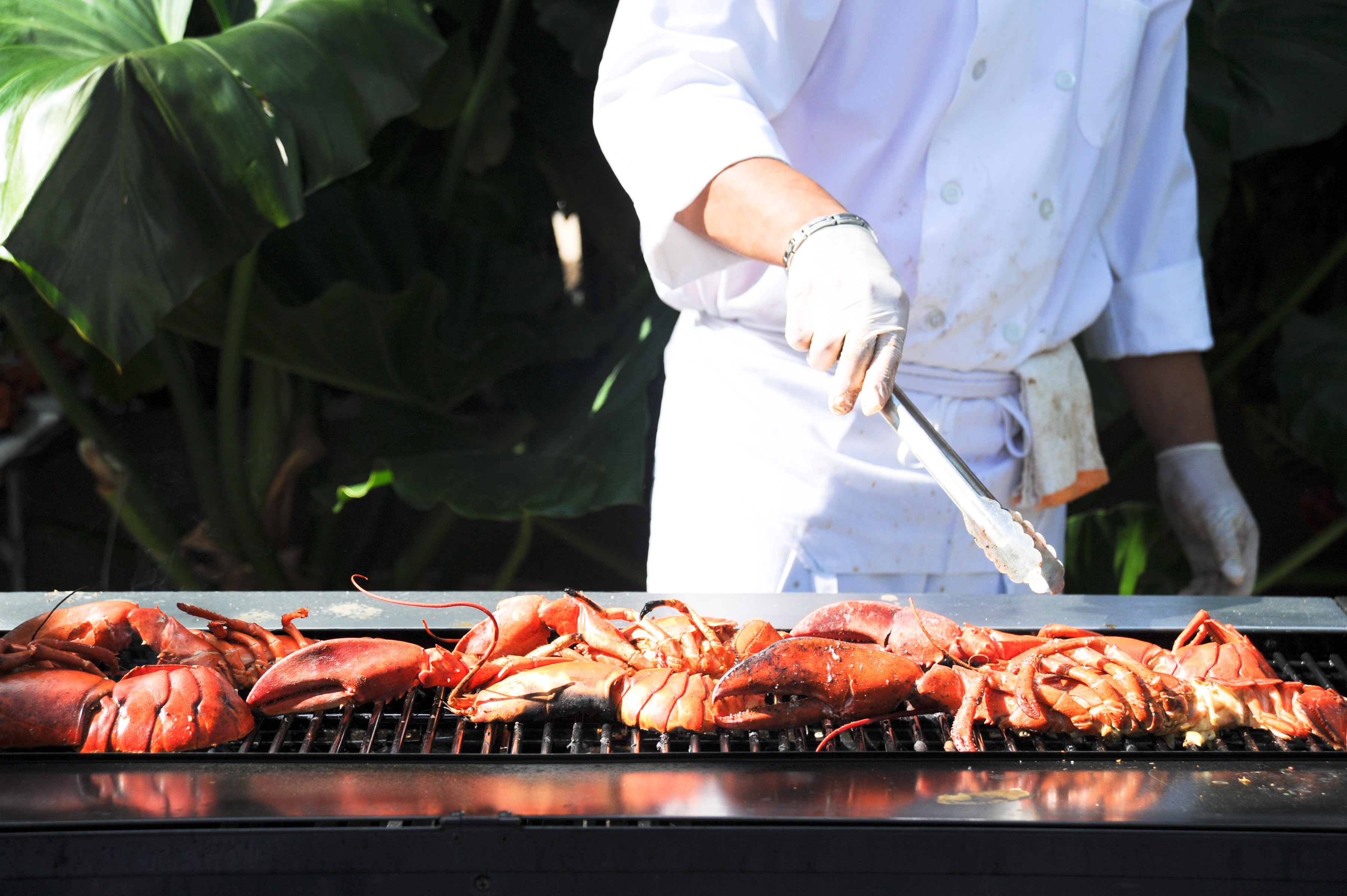 Top Private Chefs in NYC for Gourmet Dining at Home