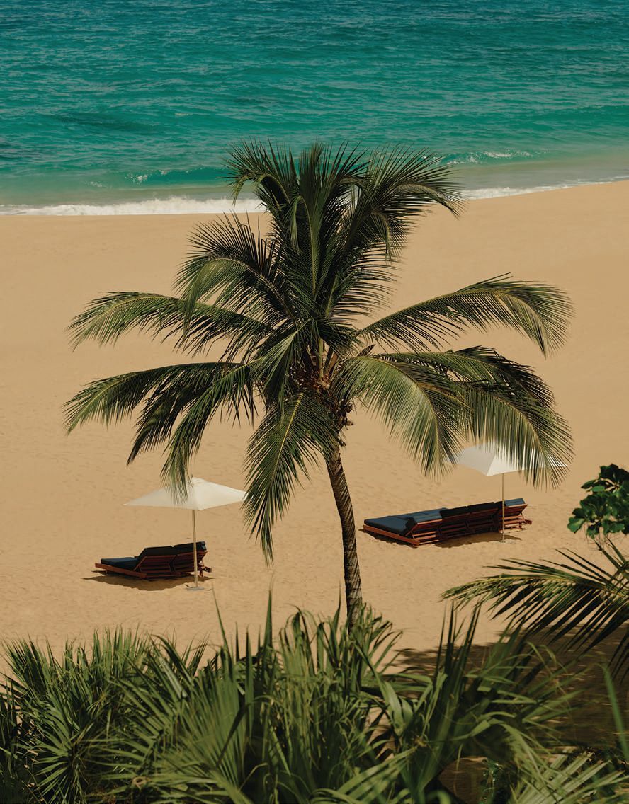 Experience the Ultimate Wellness Escape at Amanera in the Dominican ...
