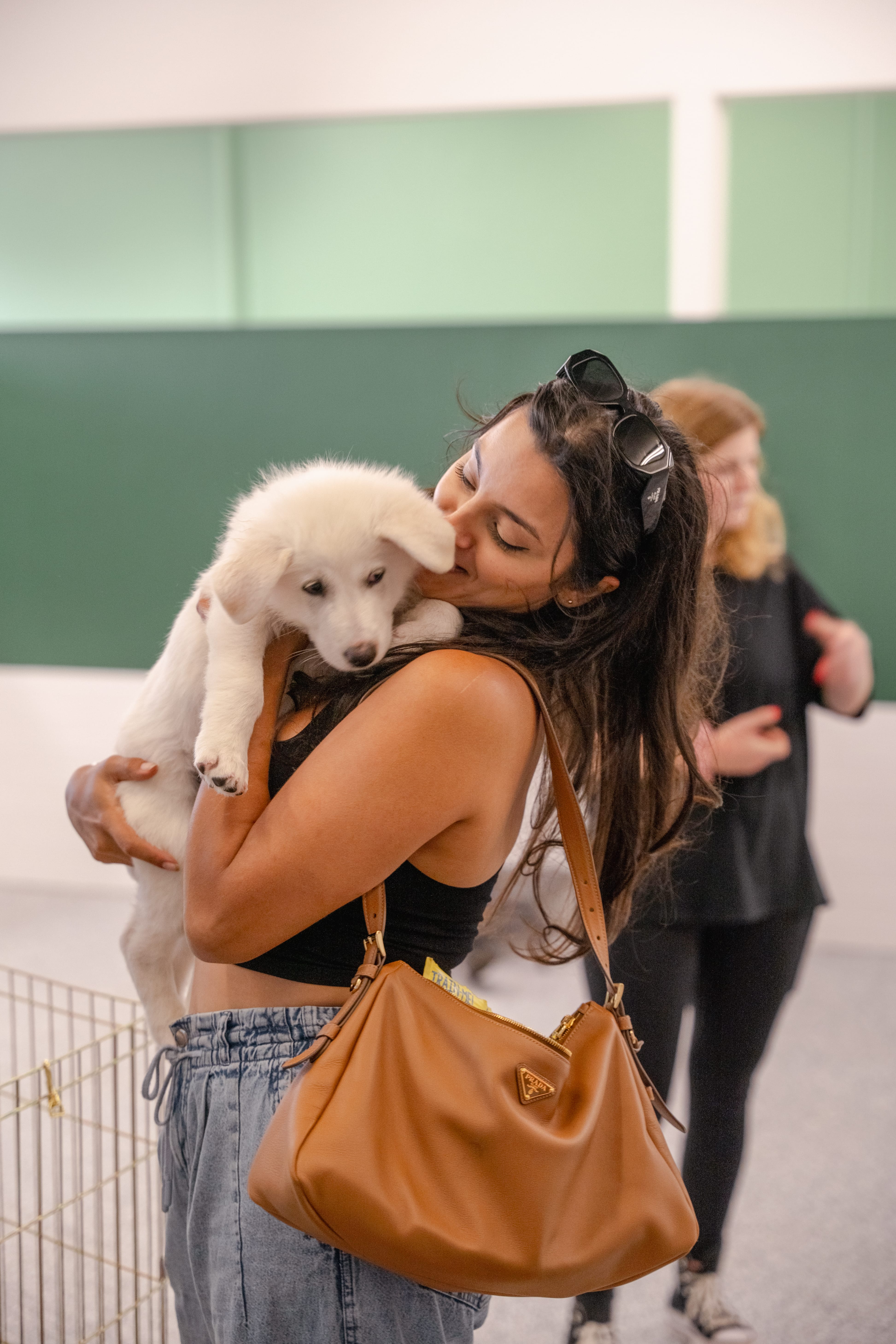 Labelle Foundation: Championing Animal Relief After Wildfires