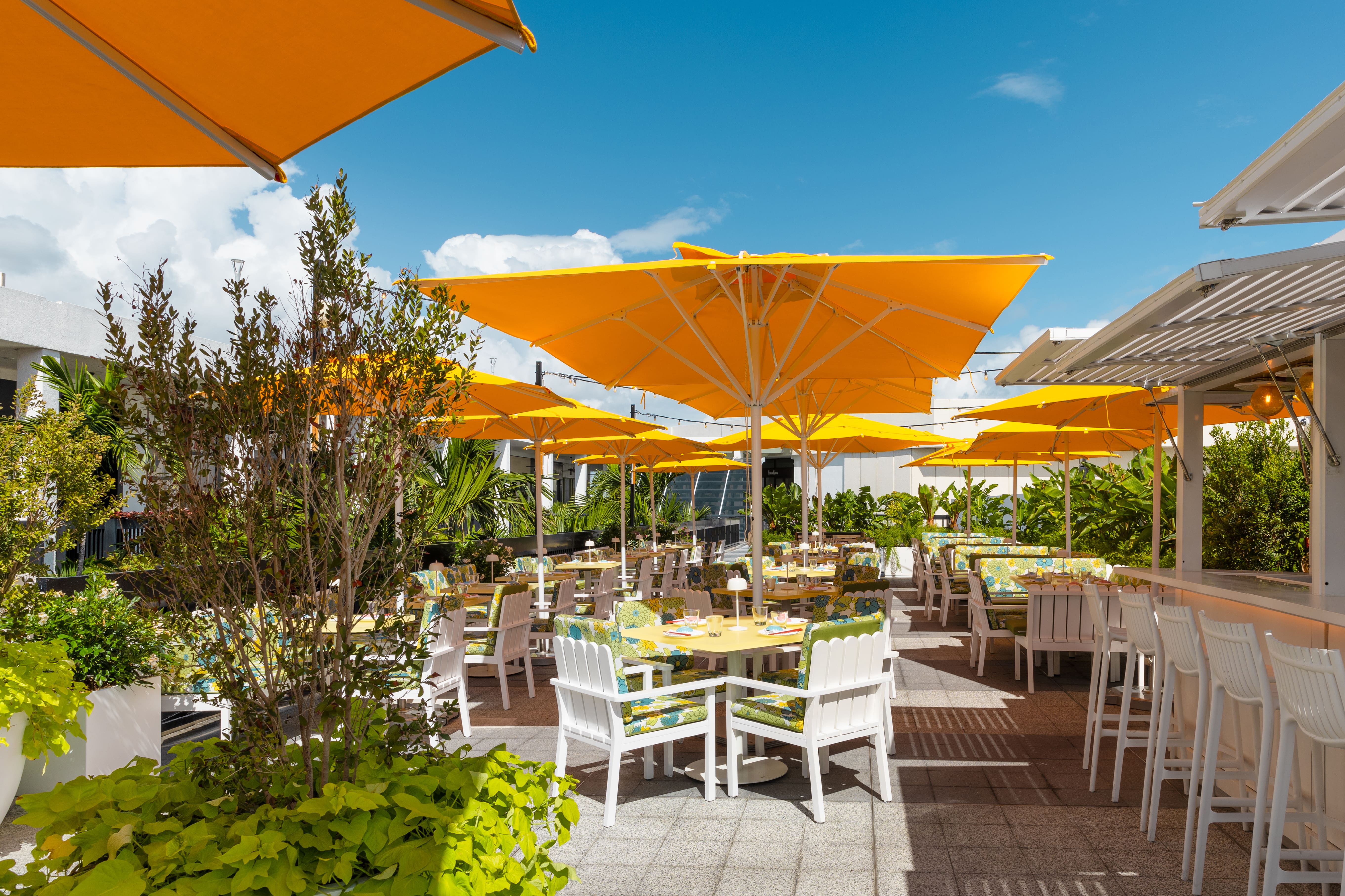 Makoto Rooftop: A New Dining Experience in Miami Beach