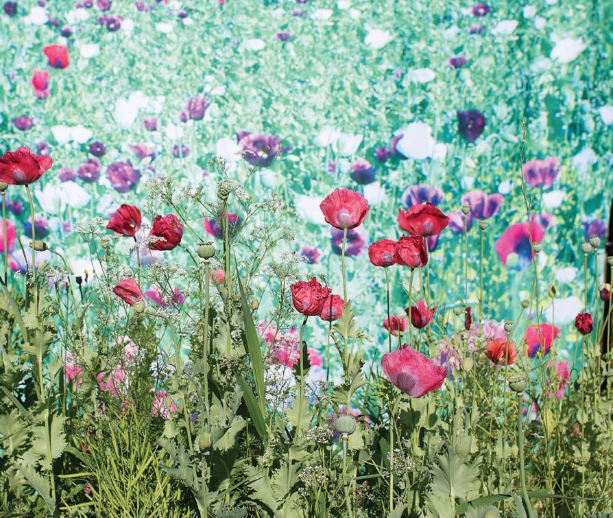 Must-See Art Exhibits in Silicon Valley This Month