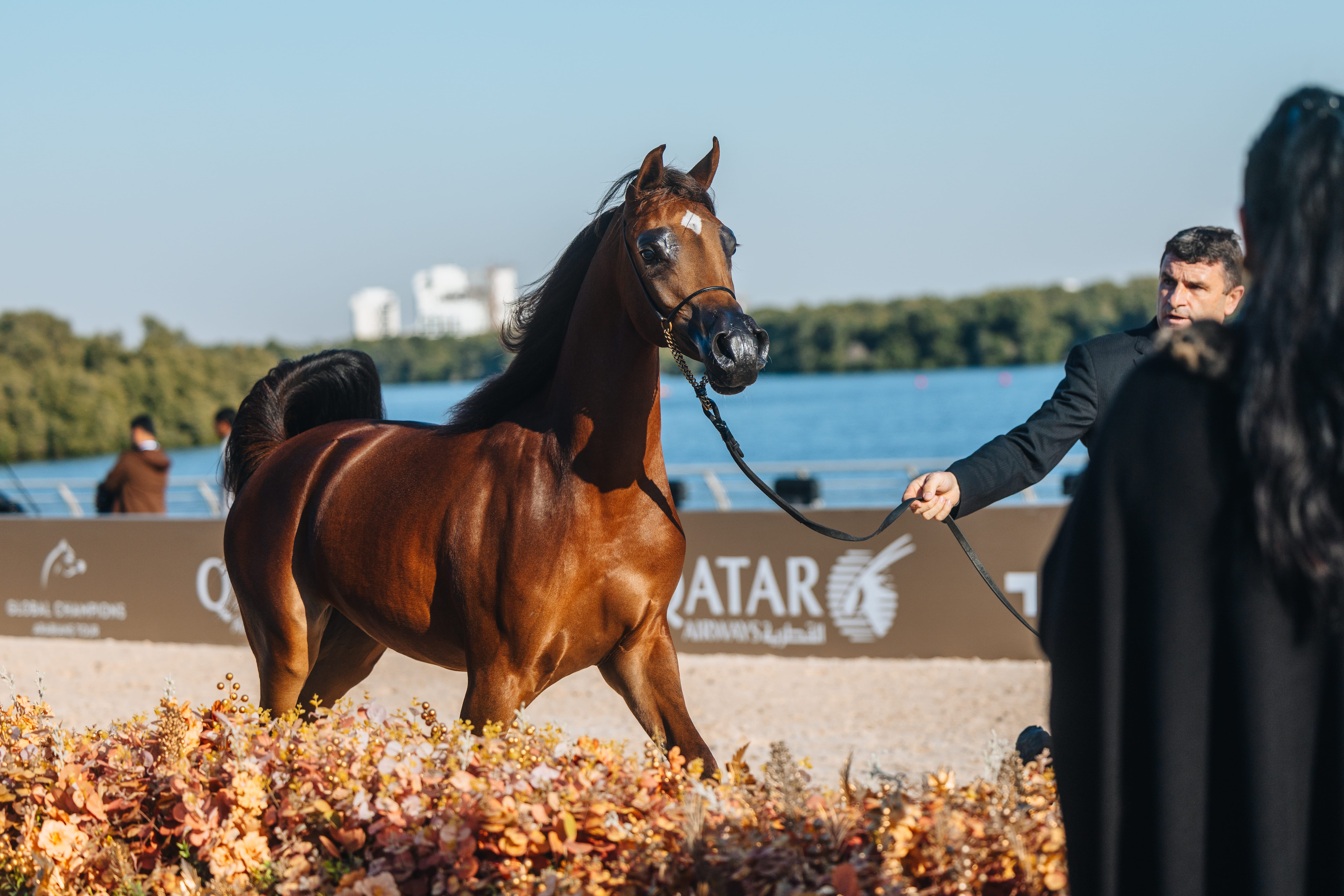 Global Champions Arabians Tour Debuts in Miami