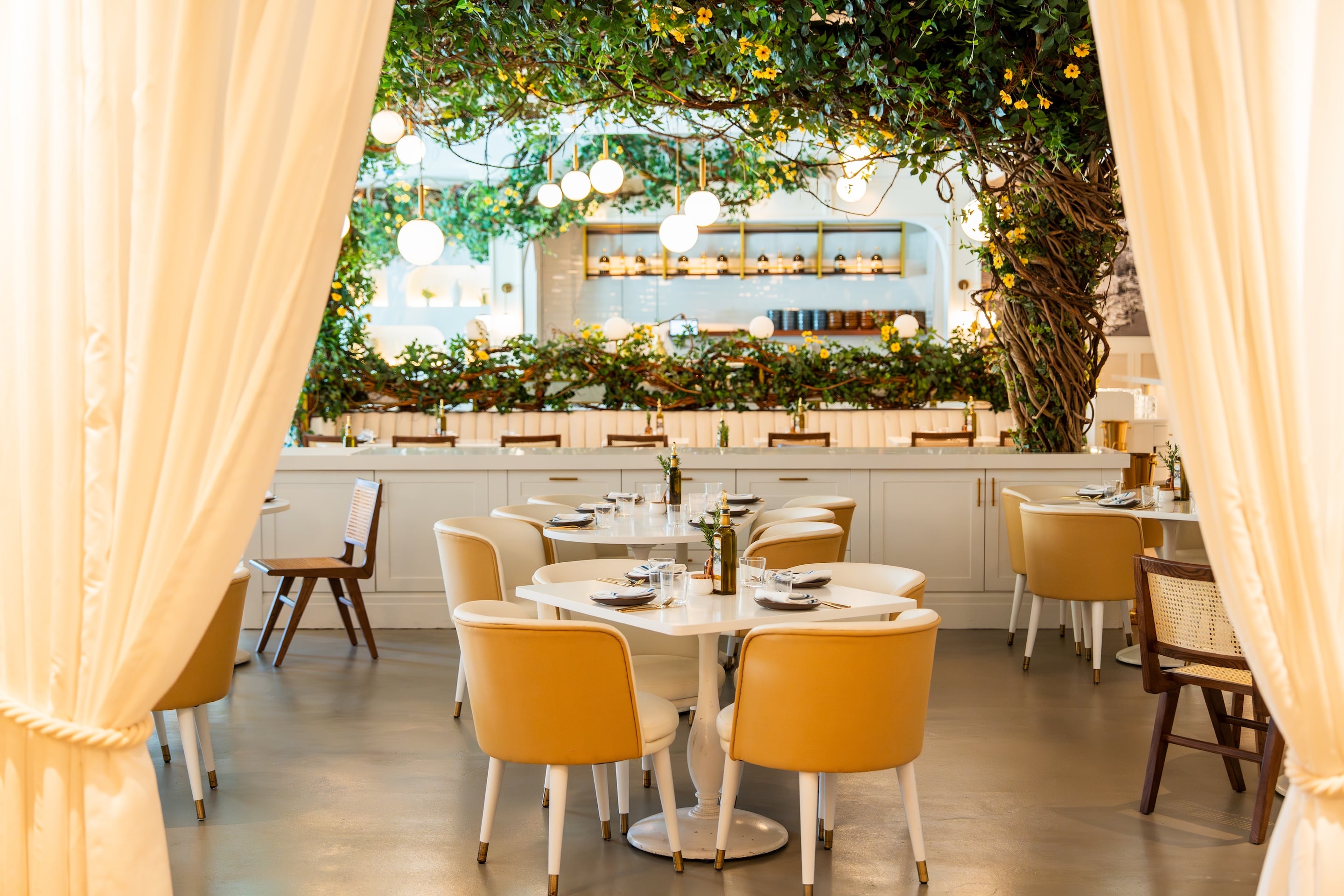 MOTEK Brings Mediterranean Cuisine to Boca Raton