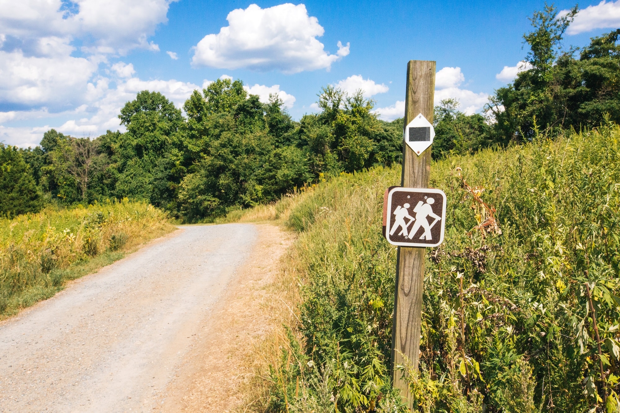 Top 10 Breathtaking Hiking Trails Near Chicago