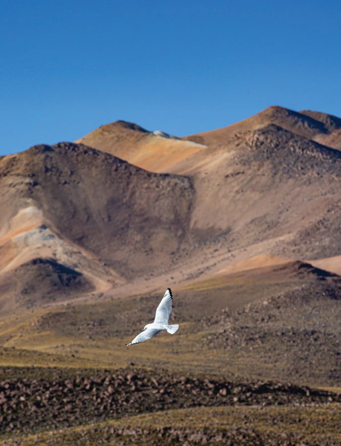 Luxury Adventure Travel Experiences with CURATED by Czerlonka