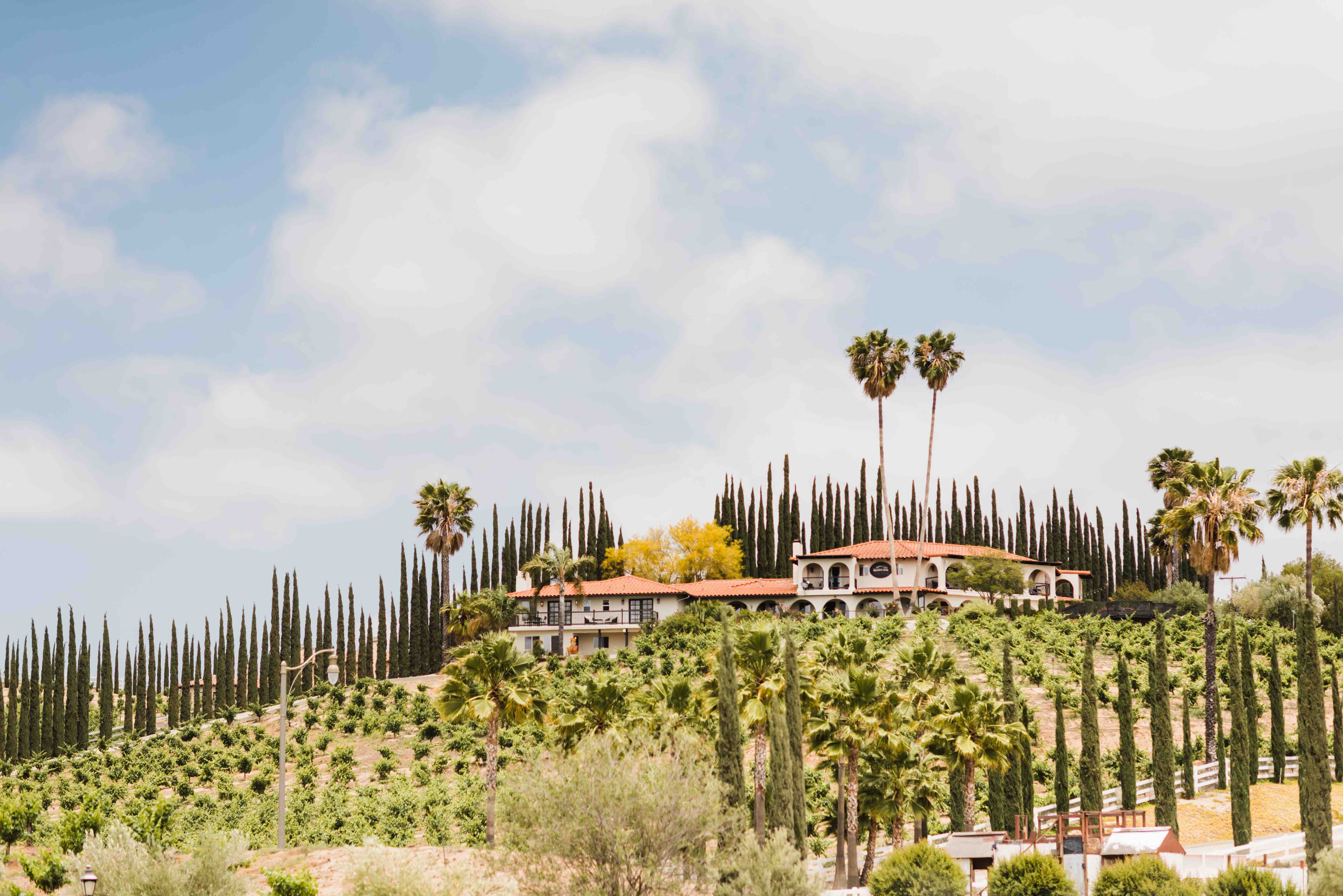 Celebrate Father's Day in San Diego: Top Events & Cruises