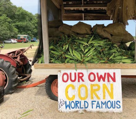 Discover the Best Local Farms for Fresh, Farm-to-Table Eats