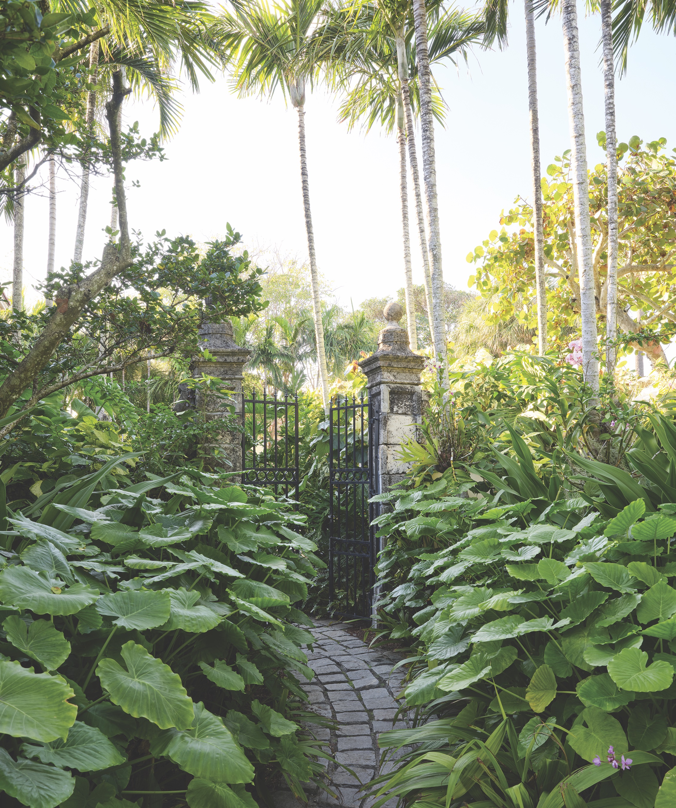 Aerin Lauder’s Nature-Inspired Palm Beach Oasis