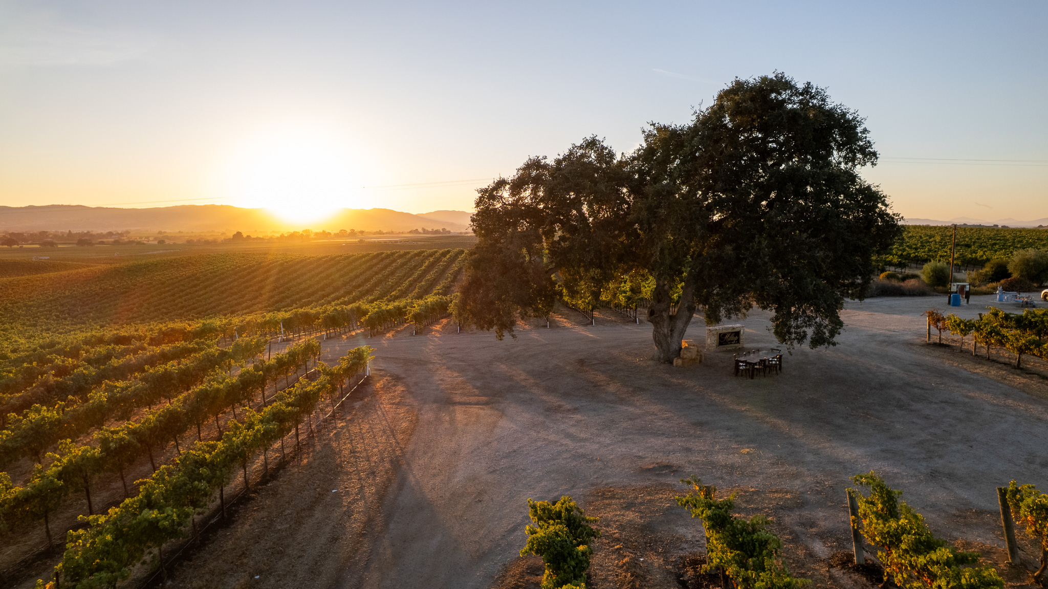 Paso Robles: Your Summer Wine Getaway at J. Lohr