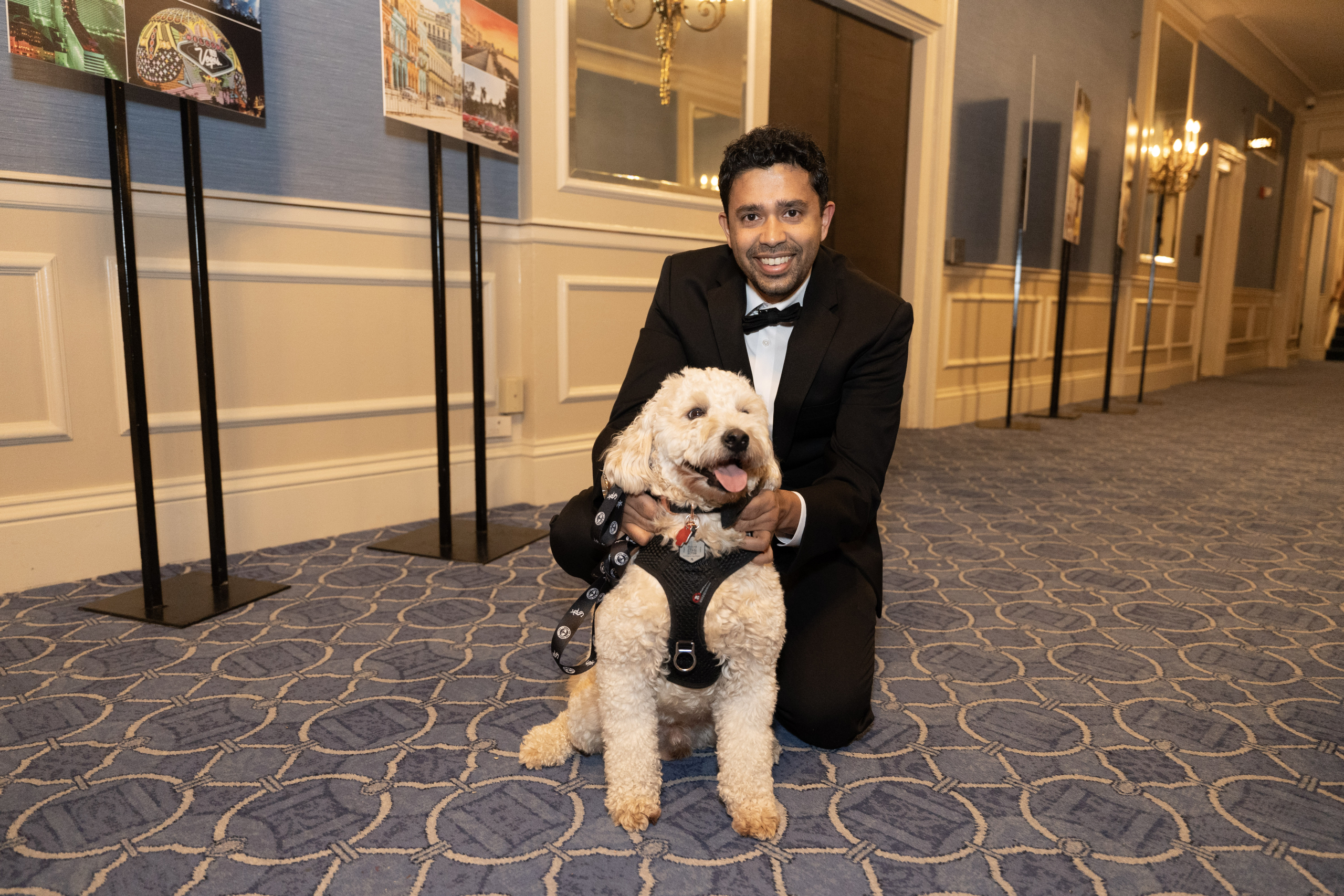 PAWS Chicago’s Fur Ball Pairs Pups And Philanthropy For A Record ...