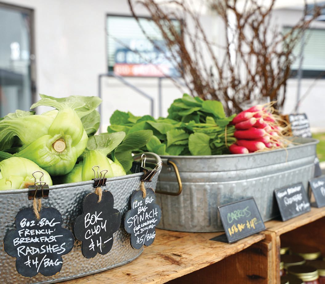 Elevating Local Flavor: Philly's Top 10 Farmers' Markets