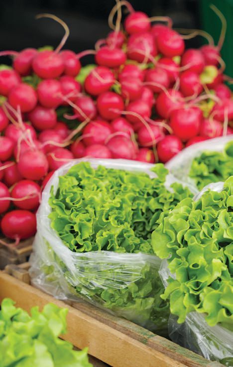 Elevating Local Flavor: Philly's Top 10 Farmers' Markets