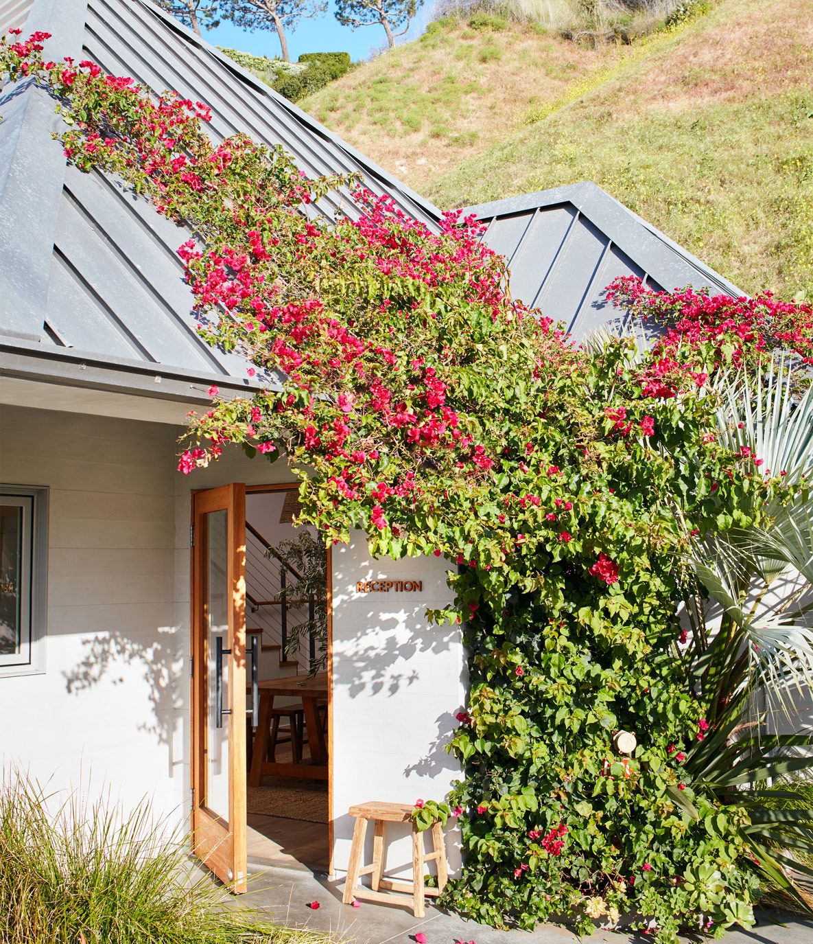 Malibu Rising: The Ultimate Guide to Conscious Travel and Local Love