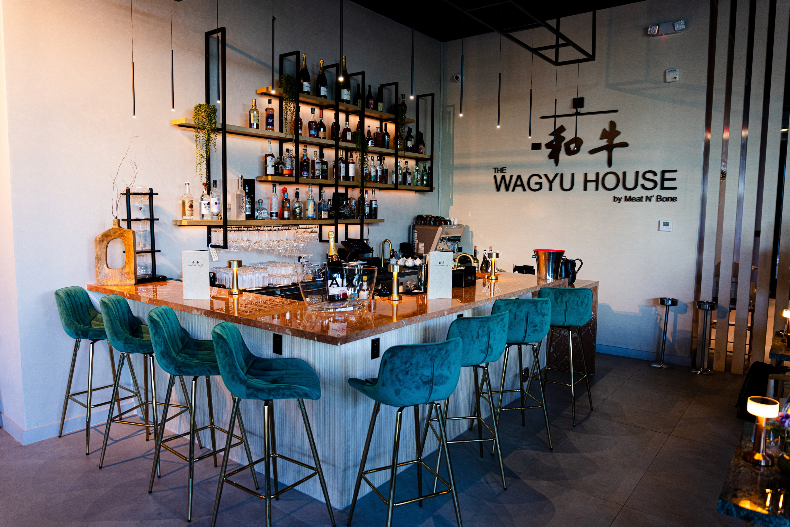 Step Inside Meat N’ Bone's New Japanese Steakhouse The Wagyu House