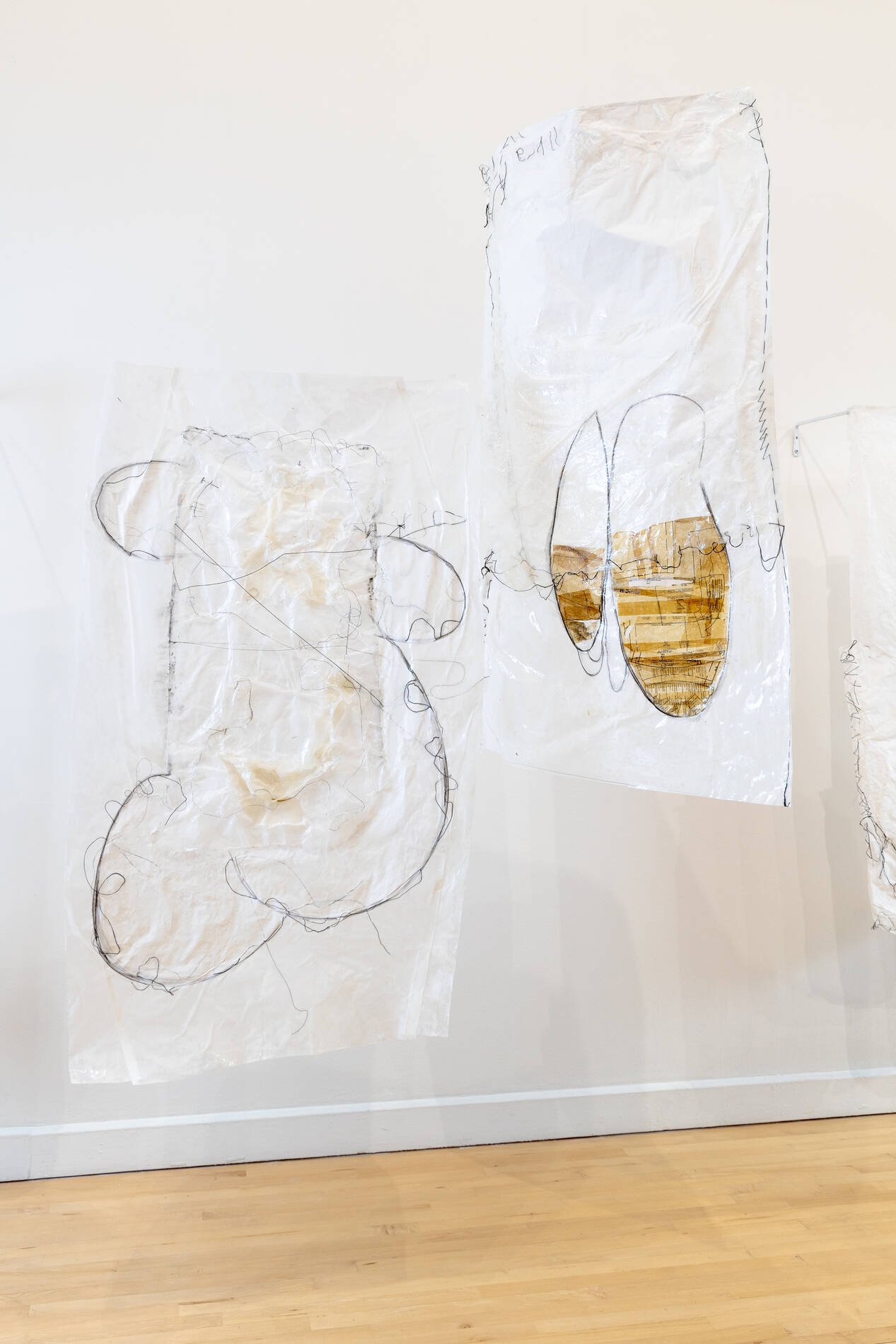 Jupiter Artist Lisa MacNamara Unveils New Vulnerability-Inspired Exhibition