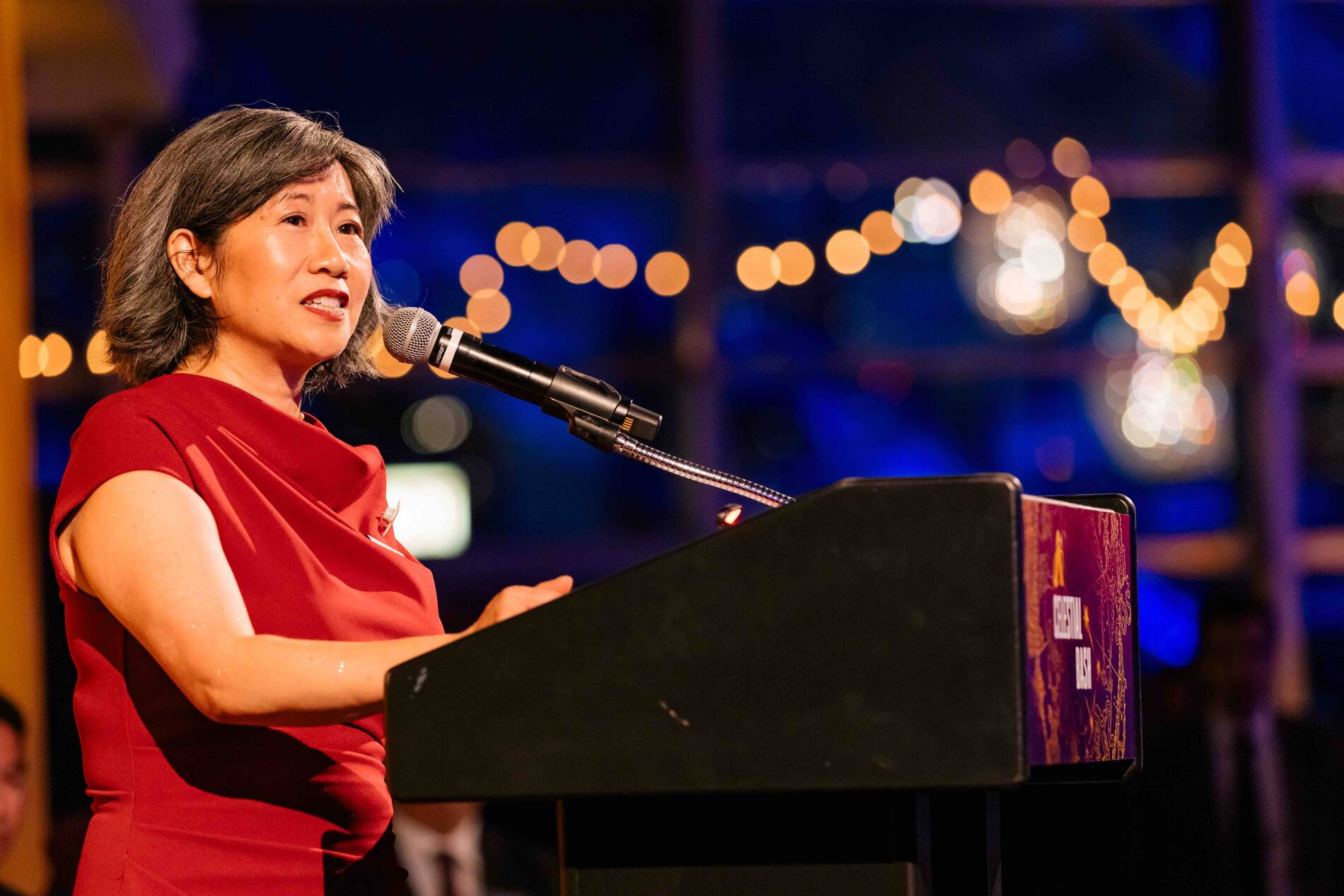 Adler Planetarium Honors Filmmakers at 2025 Celestial Bash