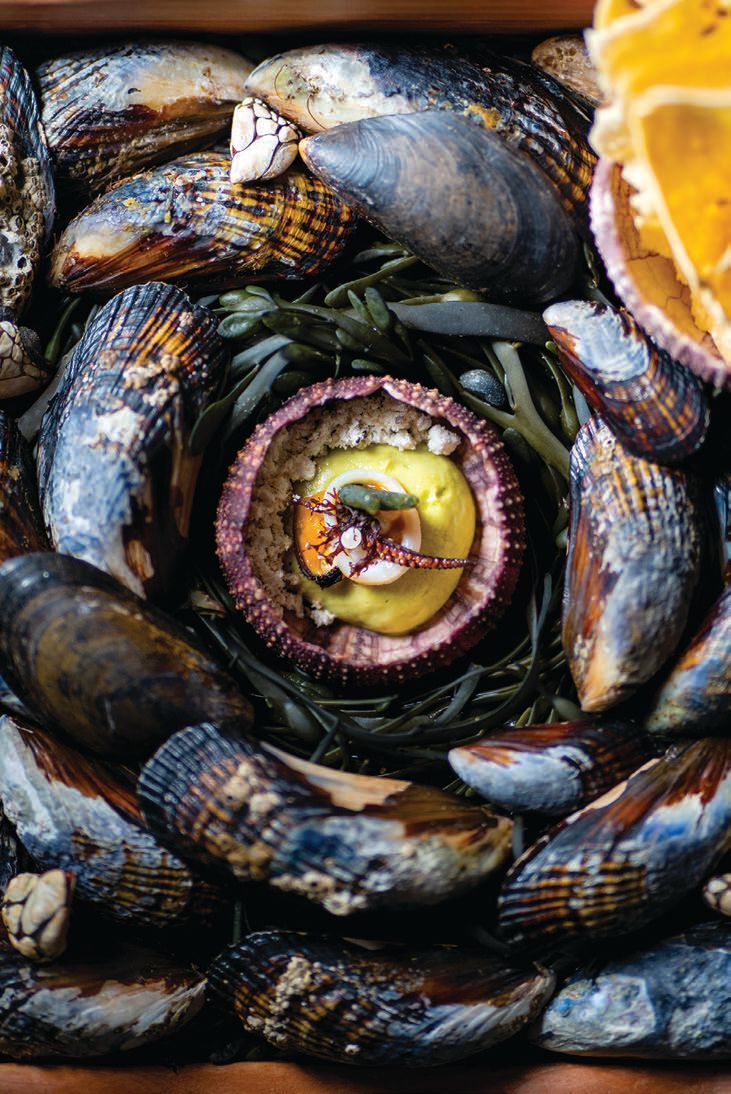 4 New Dining Spots Transforming Silicon Valley Food Scene