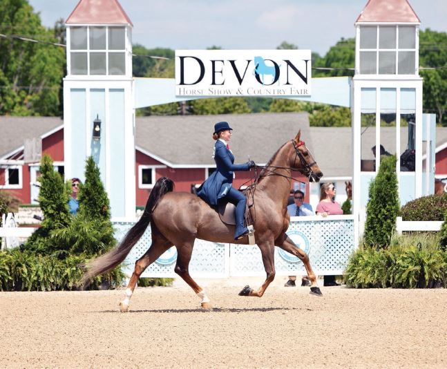 The Devon Horse Show Returns for Its 130th Year