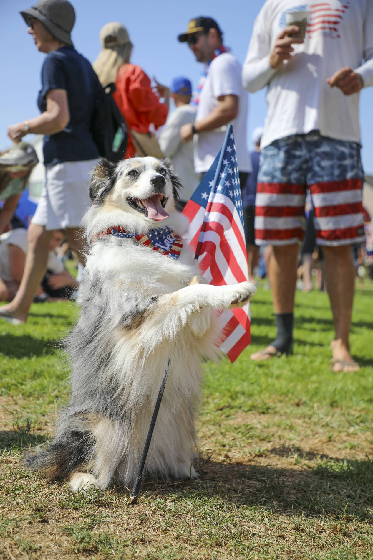 4th of July in Orange County: Top Events for America’s 250th